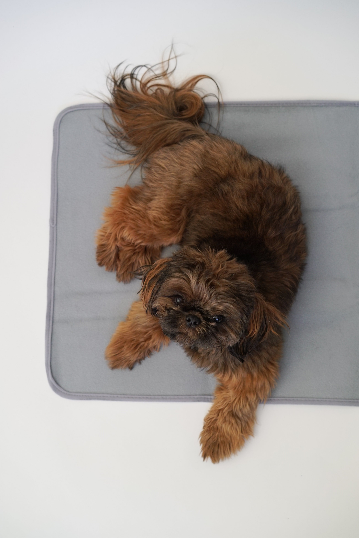 Thera-Pawz Warming Pad — Vital Care USA